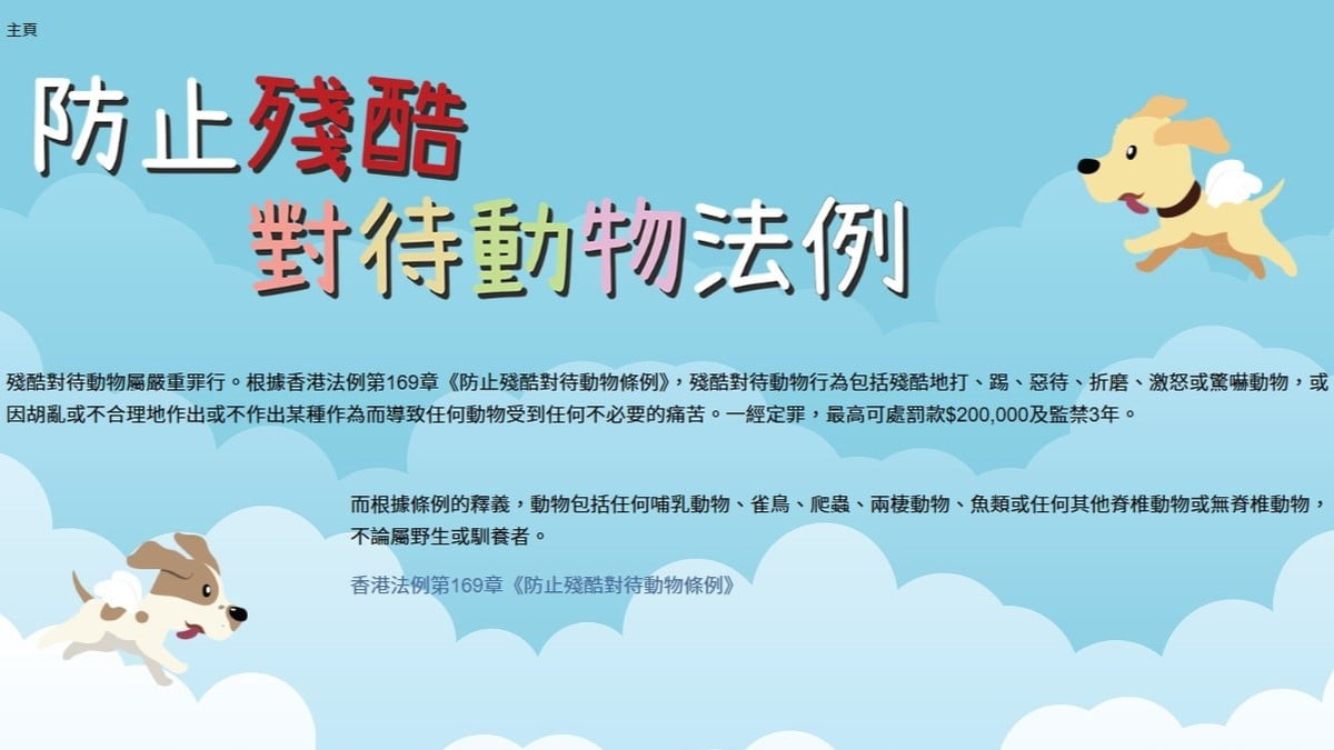 深水埗5隻貓被棄置垃圾桶 警列殘酷對待動物｜本地｜商業電台 881903