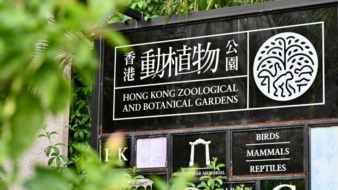 楊潤雄：動植物公園正隔離的猴子表現異常 情況反覆｜本地｜商業電台 881903