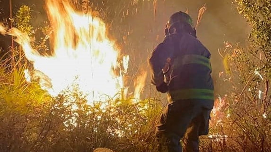 流浮山下白泥晚上山火 消防撲救3小時撲滅｜本地｜商業電台 881903