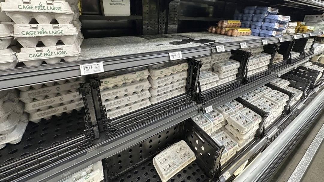 美國3月通脹率2.4%半年新低 惟蛋價創新高｜國際｜商業電台 881903