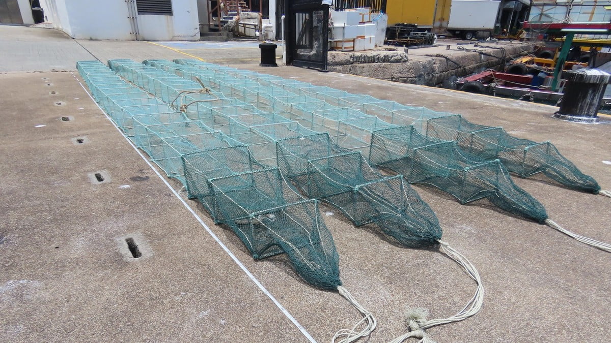 本地漁船疑違法以蛇籠捕魚 7人被漁護署調查｜本地｜商業電台 881903