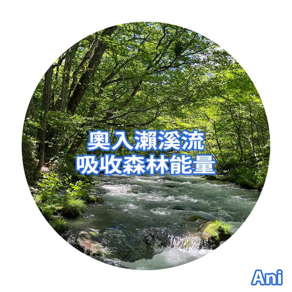Ani：奧入瀨溪流 吸收森林能量｜終於可以返鄉下｜my903.com