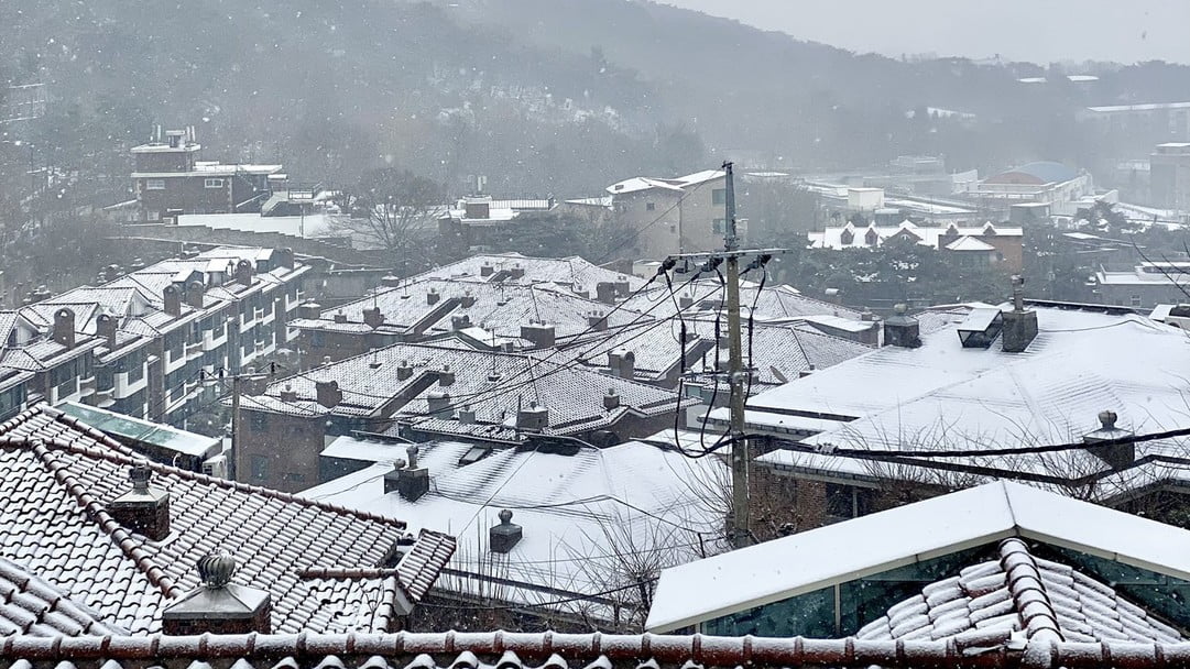 南韓全國大雪料持續至明日 海空交通受阻｜國際｜商業電台 881903