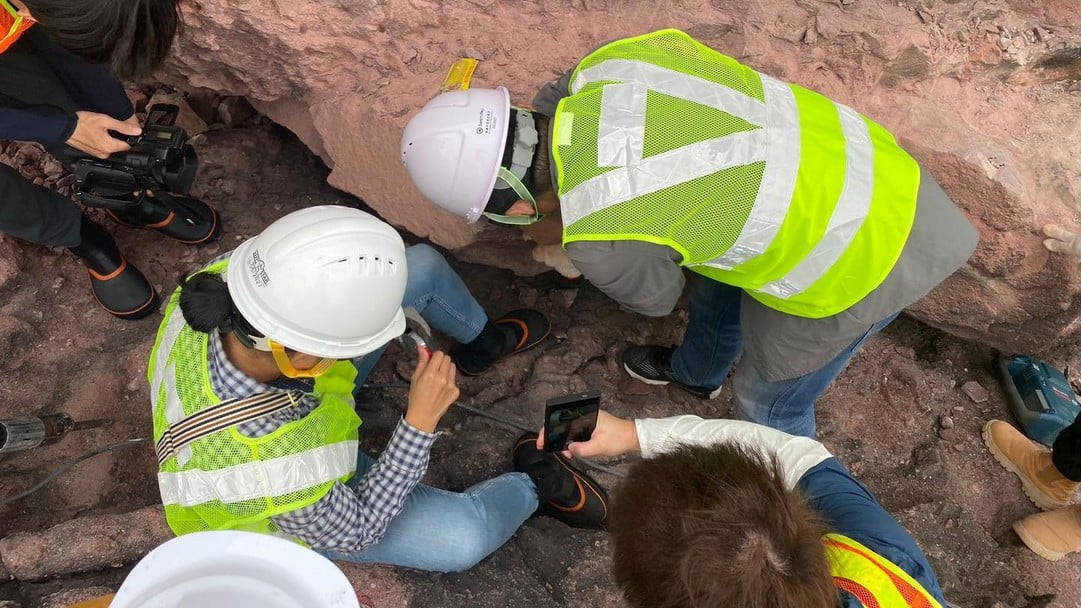 發展局：專家馬不停蹄在赤洲島採集恐龍化石｜本地｜商業電台 881903