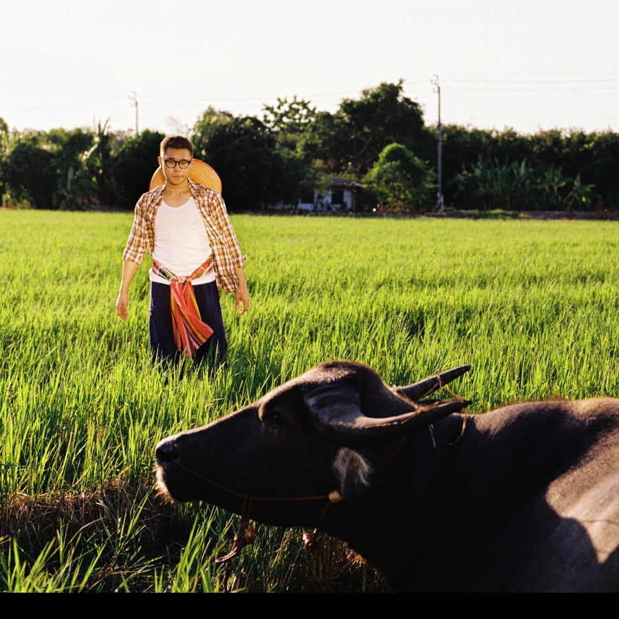 Gareth.T - 顏色｜派台歌｜my903.com