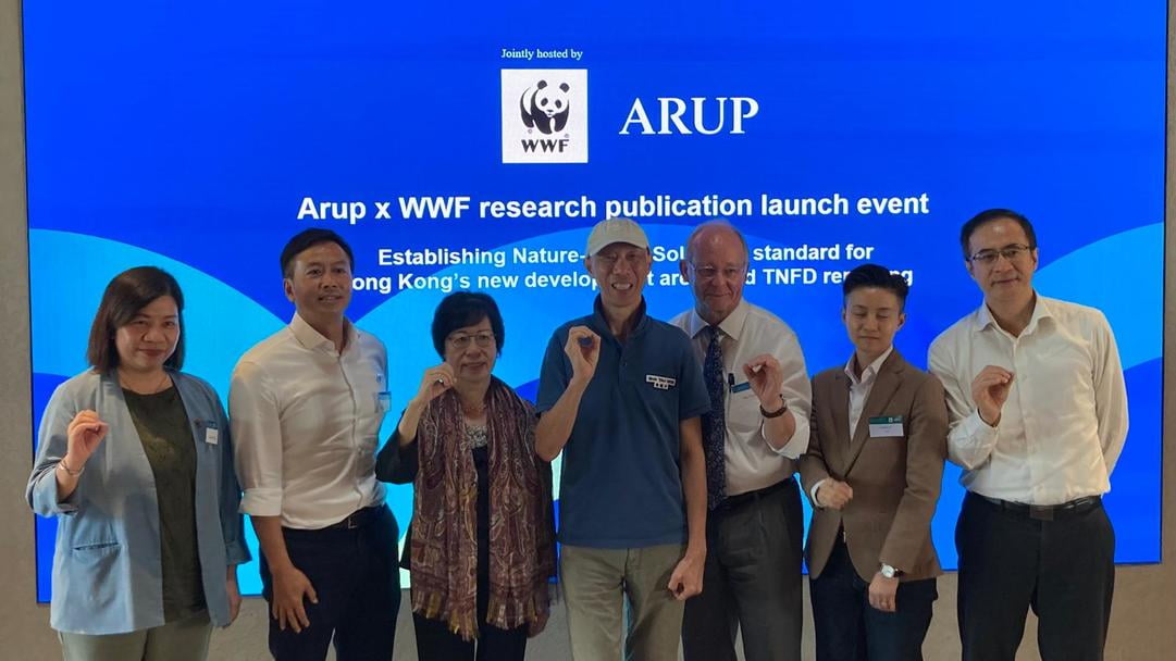 世界自然基金提出 在梅窩試行提升自然生態系統｜本地｜商業電台 881903