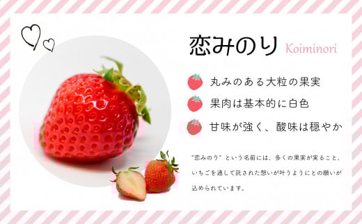 Ani：食士多啤梨係時候啦！｜終於可以返鄉下｜my903.com