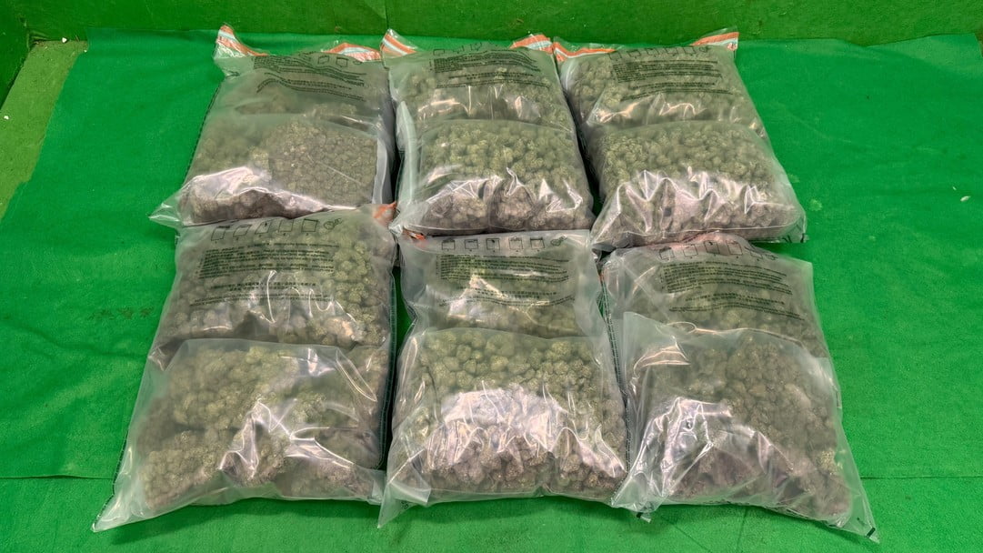 海關破行李藏毒拘捕2名曼谷抵港旅客 檢獲310萬元大麻花｜本地｜商業電台 881903