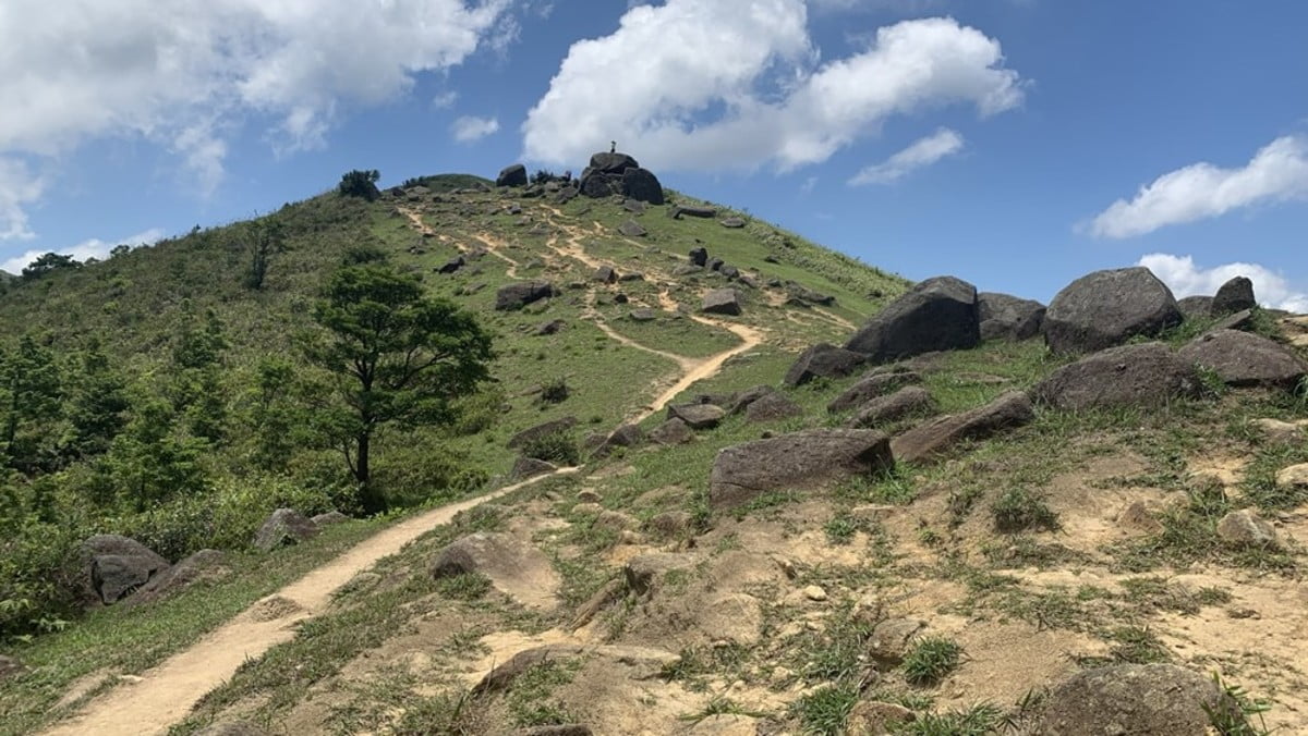 漁護署男職員大帽山採樣本 疑遭昆蟲叮咬後不治｜本地｜商業電台 881903