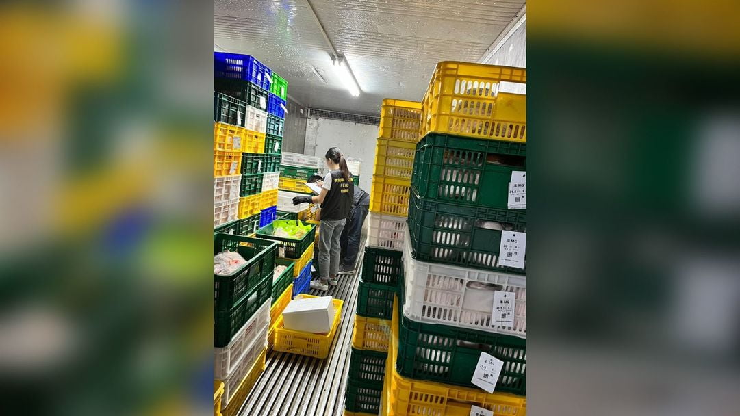 食環署搗破坪輋無牌凍房 檢逾16公噸凍肉｜本地｜商業電台 881903